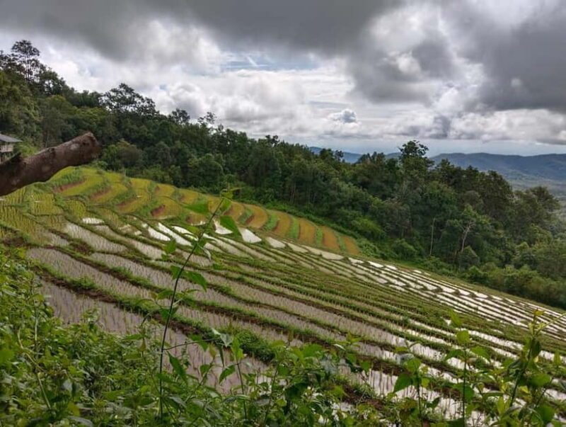 Chiang Mai Authentic Trekking - FAQ