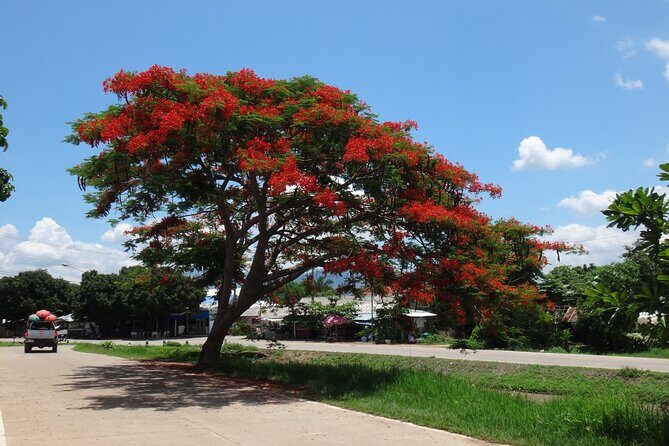 Chiang Mai Biking & River Kayak : Gentle Thrills in a Lush Valley - Authentic Experiences and Authenticity