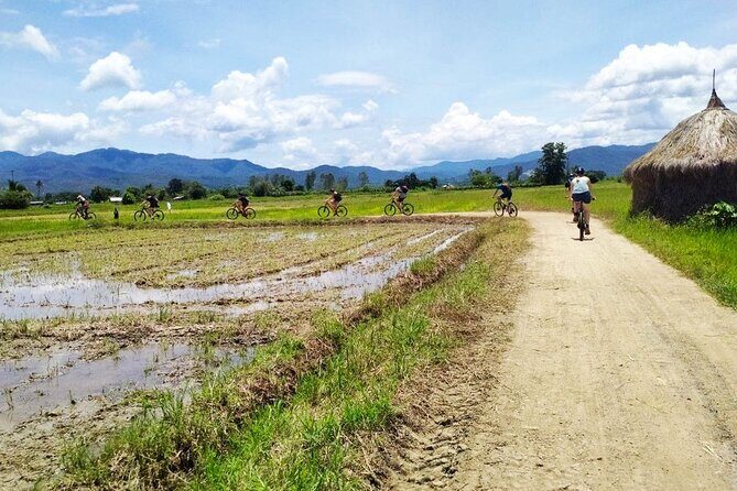 Chiang Mai Biking & River Kayak : Gentle Thrills in a Lush Valley - Who Will Love This Tour?