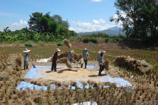 Chiang Mai Biking & River Kayak : Gentle Thrills in a Lush Valley - FAQ