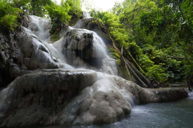 Chiang Mai: Bua Tong Sticky Waterfall, Huge Cave,Thai Buffet - Who Should Consider This Tour?