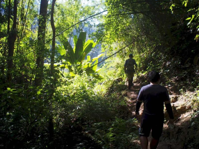 Chiang Mai: Chiang Dao Caves and Jungle Trek with Lunch - FAQ