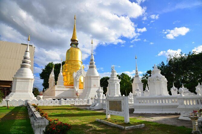 Chiang Mai City Tour with Doi Suthep, Wat Pha Lat & Chedi Luang - Key Points