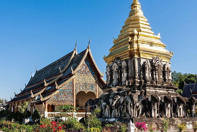 Chiang Mai City Tour with Doi Suthep, Wat Pha Lat & Chedi Luang - Frequently Asked Questions