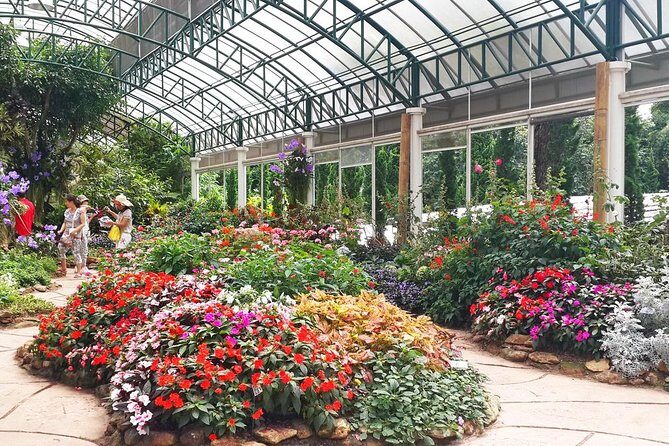 Chiang Mai City, Wat Doi Suthep, Wat Chedi Luang and Wat Pha Lat - FAQ