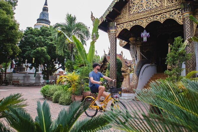 Chiang Mai Classic Bike Tour - The Sum Up