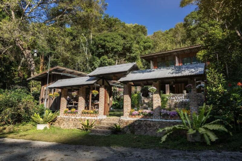 Chiang Mai : Coffee Process & Tasting  From Cherry to Cup - An Authentic Taste of Chiang Mai’s Coffee Heritage