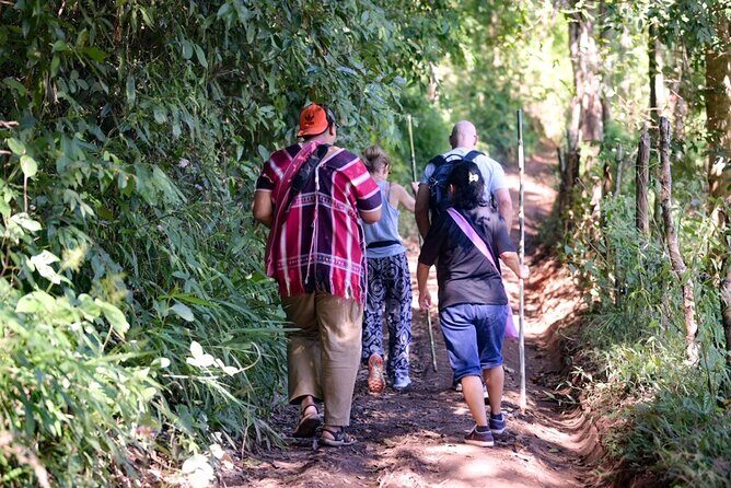 Chiang Mai Coffee Tour: Trekking to Farm, Roast and Brew Workshop - Key Points