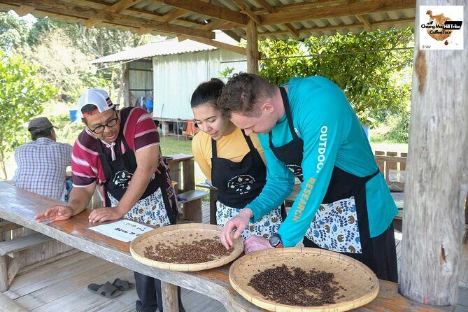 Chiang Mai Coffee Tour: Trekking to Farm, Roast and Brew Workshop - The Value of the Experience