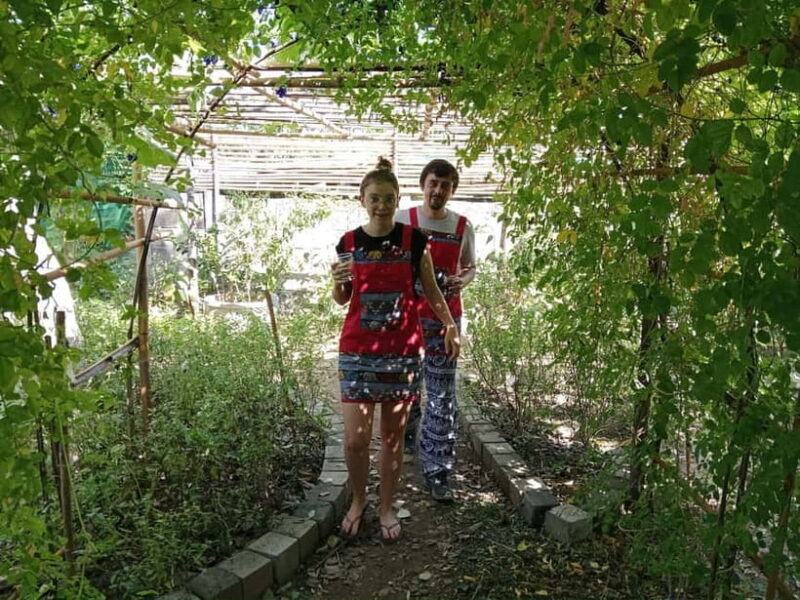 Chiang Mai: Cooking Class, Market & Thai Herbs Garden Tour - The Organic Kitchen Garden