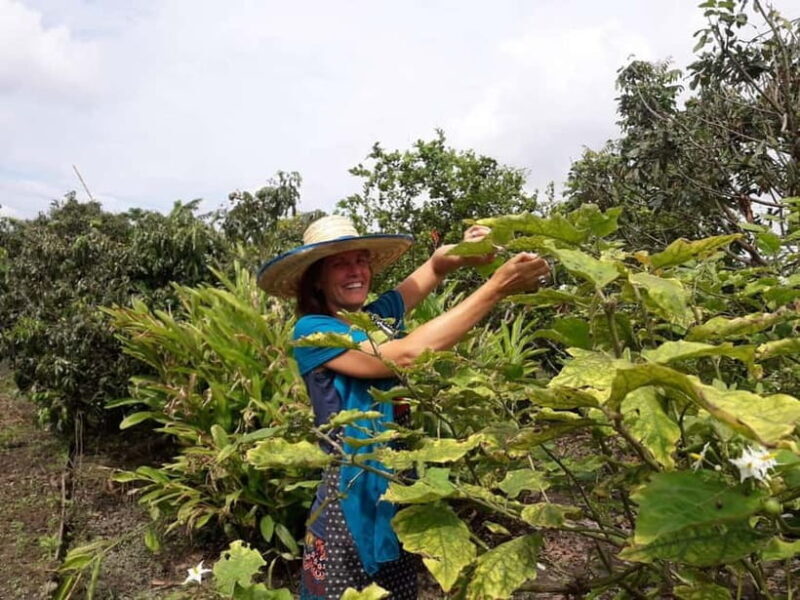 Chiang Mai: Cooking in Organic Farm with a Local Train Trip - Who This Tour Is Best For