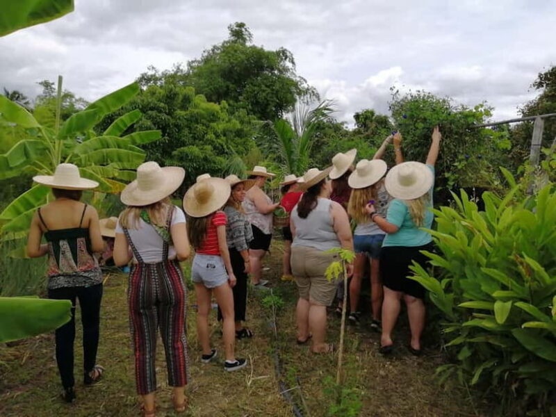 Chiang Mai: Cooking in Organic Farm with a Local Train Trip - Final Thoughts