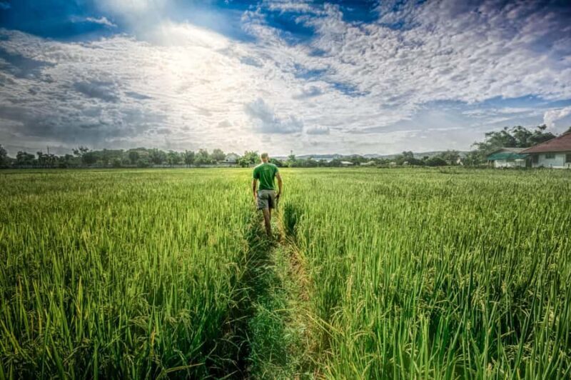Chiang Mai: Countryside Adventure by Bike - FAQ