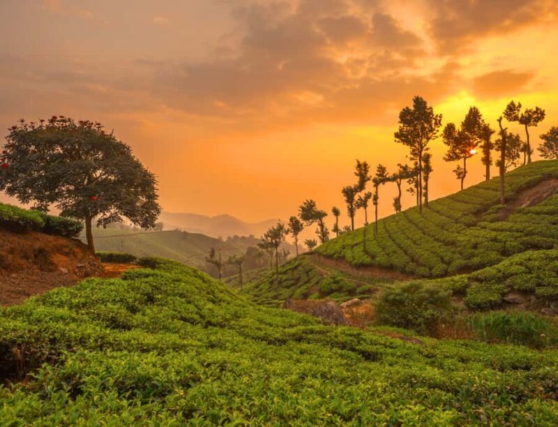 Chiang Mai: Create Your Own Private Chiang Rai Adventure - FAQ