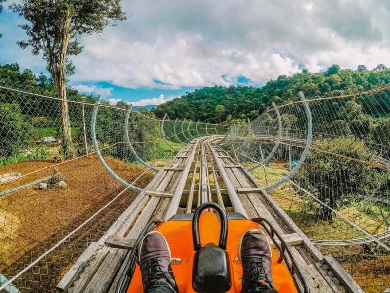 Chiang Mai: Customizable Chiang Mai Surrounding Areas Tour - The Bottom Line