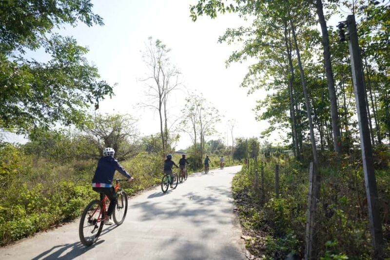 Chiang Mai: Cycling NamPhare Countrysides, Breezy-Relax Trip - Authenticity and Participant Feedback