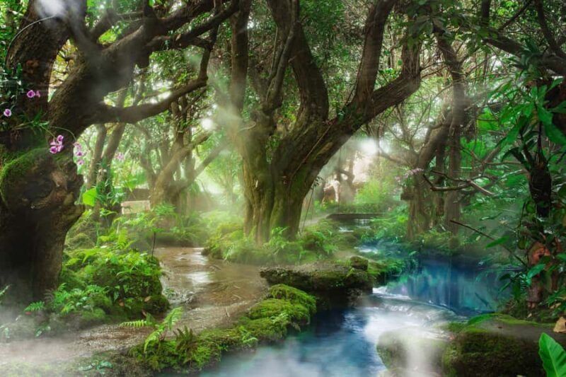 Chiang Mai: Dan Tewada Land, Bamboo Rafting & Waterfall Tour - FAQ