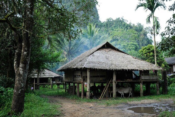 Chiang Mai Day Tour: Chiang Dao Cave and Hill Tribes - Who Should Book This Tour?
