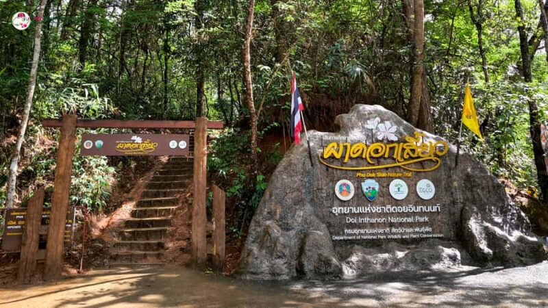 Chiang Mai: Doi Inthanon and Elephant Sanctuary Tour & Hike - The Itinerary Breakdown