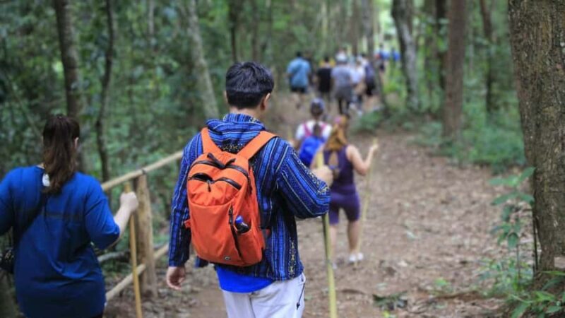 Chiang Mai: Doi Inthanon and Elephant Sanctuary Tour & Hike - Pricing and Value