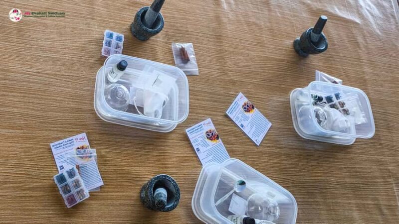 Chiang Mai: Doi Inthanon and Elephant Sanctuary Tour & Hike - Weather and Preparation