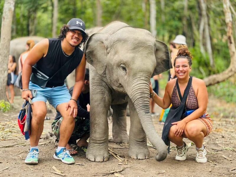 Chiang Mai: Doi Inthanon and Elephant Sanctuary Tour - Exploring the Natural Wonders of Doi Inthanon