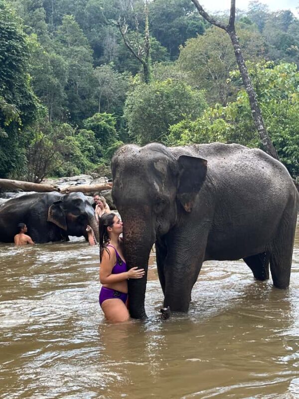 Chiang Mai: Doi Inthanon and Elephant Sanctuary Tour - Authentic Experiences That Count