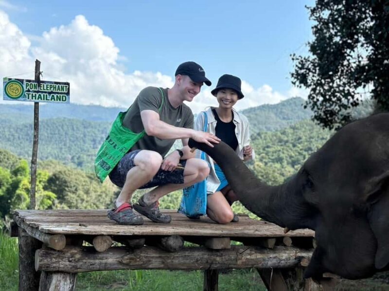 Chiang Mai: Doi Inthanon and Elephant Sanctuary Tour - The Sum Up