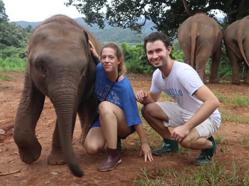 Chiang Mai: Doi Inthanon and Elephant Sanctuary Tour - FAQ