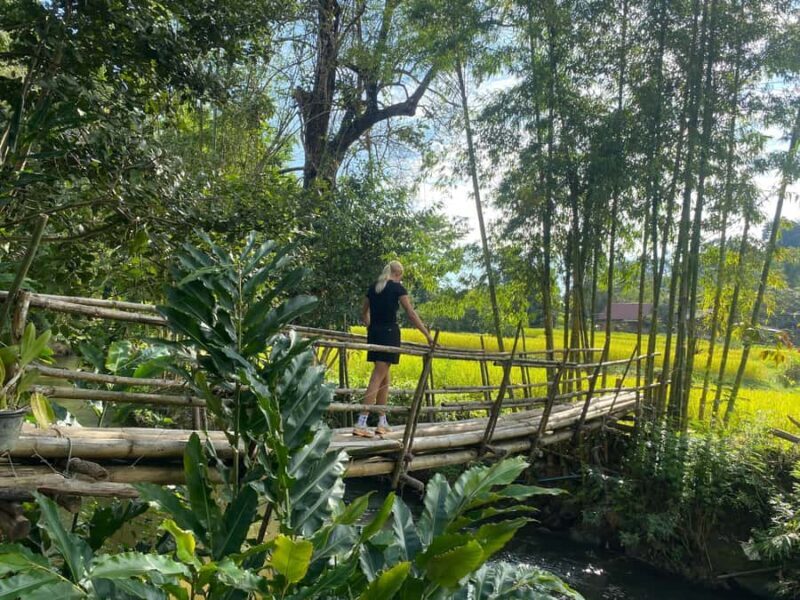 Chiang Mai: Doi Inthanon Explore & ATV Adventure - The Adventure Element: ATV Ride