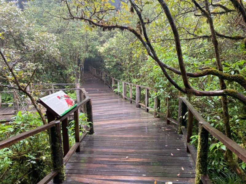 Chiang Mai: Doi Inthanon Explore & ATV Adventure - What the Reviews Say