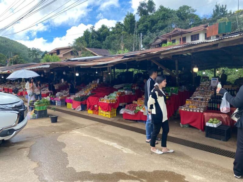 Chiang Mai: Doi Inthanon Explore & ATV Adventure - Who Should Consider This Tour?
