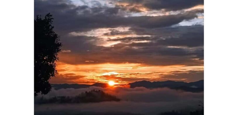 Chiang Mai: Doi Inthanon Hike, Coffee, and Tree Planting - FAQ