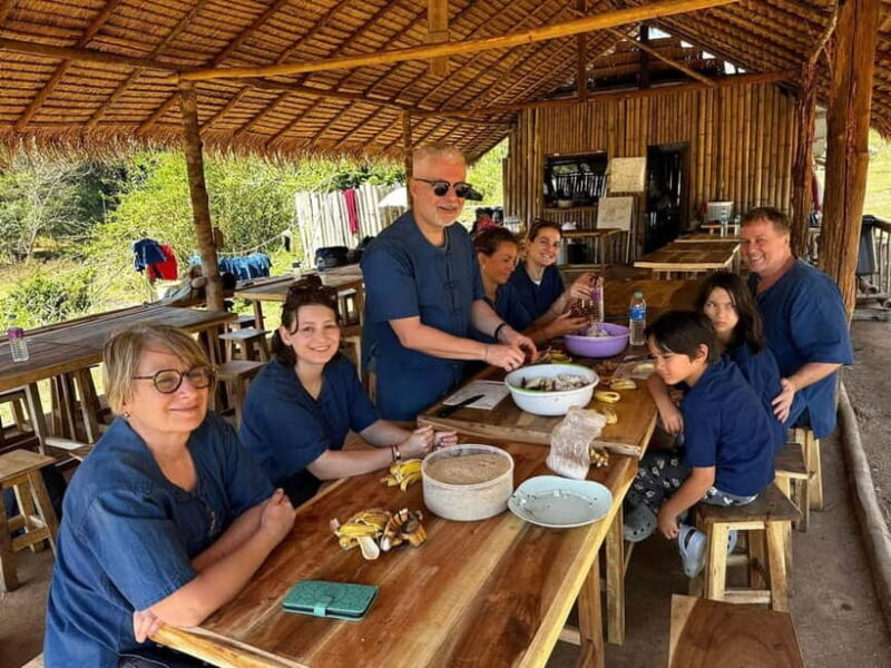 Chiang Mai: Doi Inthanon Hiking Tour & Elephant Care Program - An In-Depth Look at the Experience