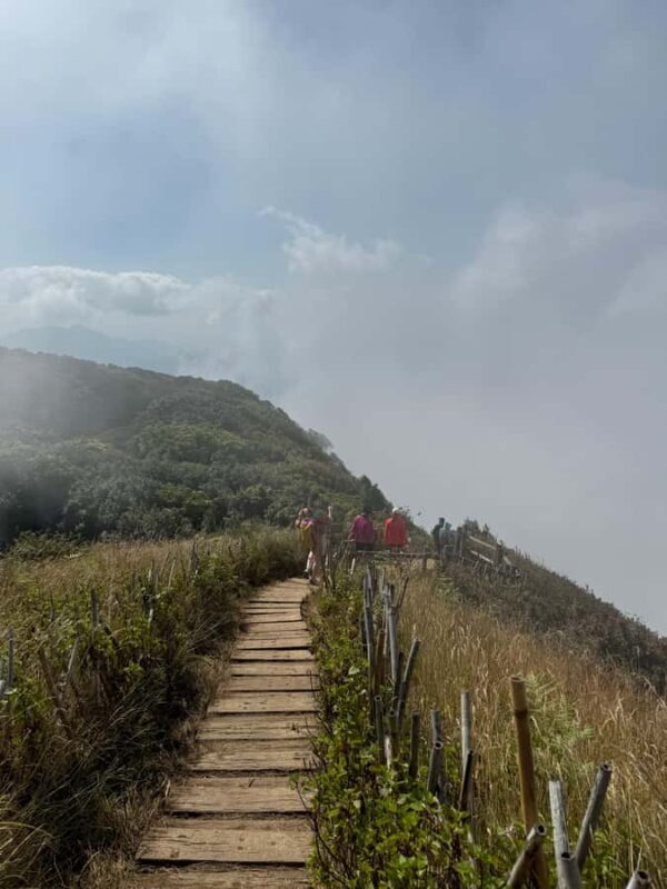 Chiang Mai: Doi Inthanon & Kew Mae Pan Nature Trail Tour - The Value of the Experience