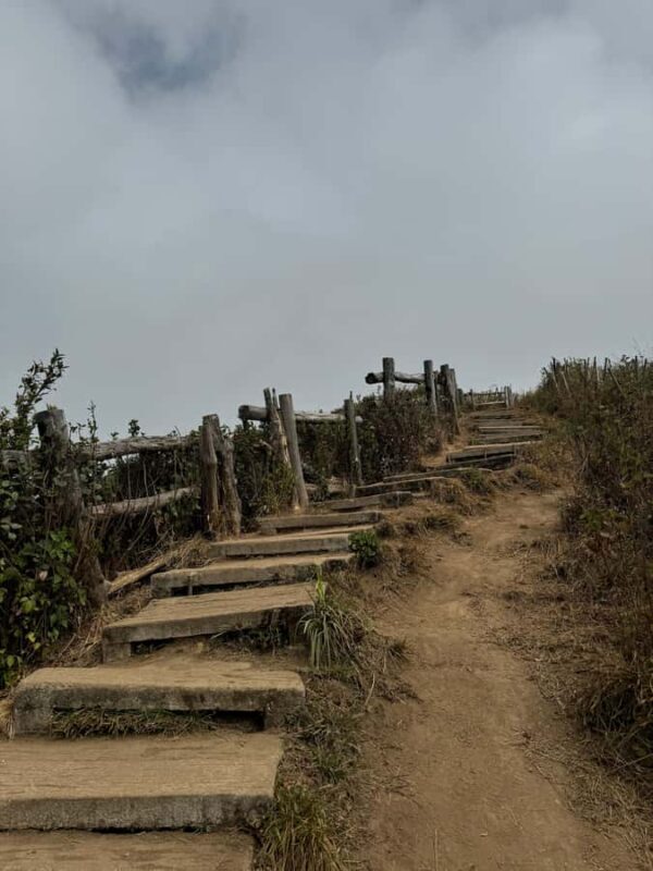 Chiang Mai: Doi Inthanon & Kew Mae Pan Nature Trail Tour - Practical Tips