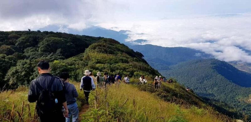 Chiang Mai: Doi Inthanon Kew Mae Pan Trek & Panoramic Views - In-Depth Breakdown of the Itinerary