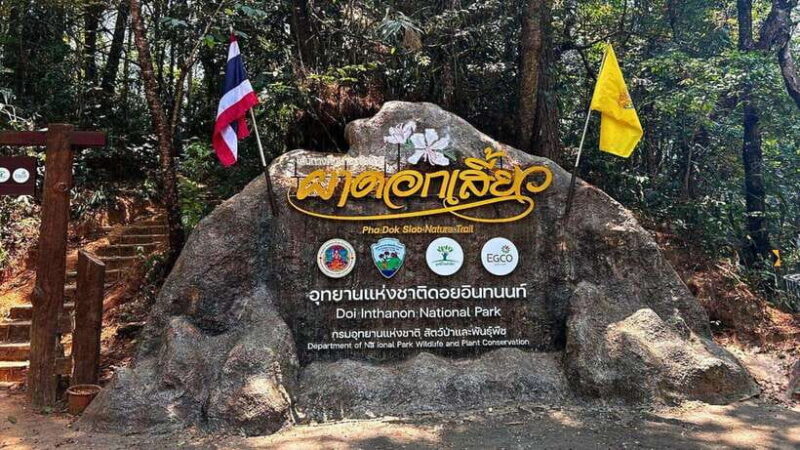 Chiang Mai: Doi Inthanon National Park and Pha Dok Siew Trek - Practical Tips and Final Thoughts