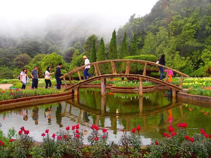 Chiang Mai: Doi Inthanon National Park Day Group Trip - An In-Depth Look at the Tour Experience