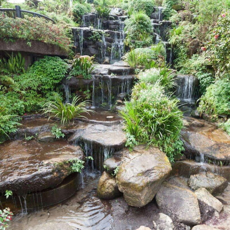 Chiang Mai: Doi Inthanon National Park Day Tour with Lunch - Key Points