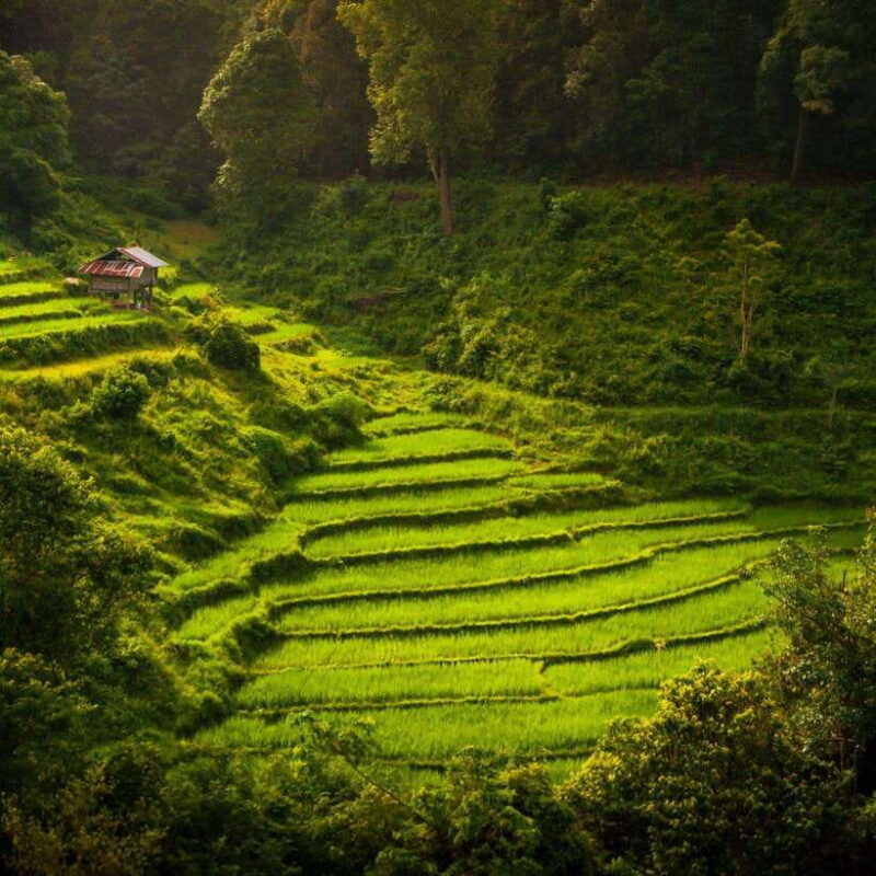 Chiang Mai: Doi Inthanon National Park Day Tour with Lunch - FAQ