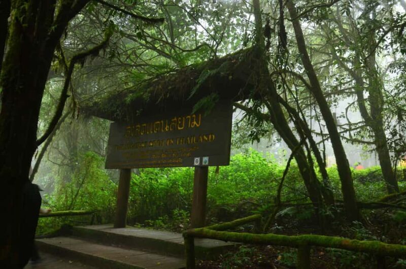 Chiang Mai: Doi Inthanon National Park Private Tour - An In-Depth Look at the Doi Inthanon Private Tour