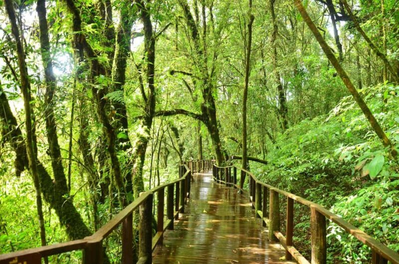 Chiang Mai: Doi Inthanon National Park Private Tour - FAQ