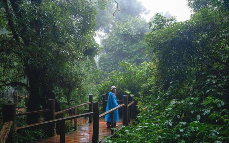 Chiang Mai: Doi Inthanon National Park Sightseeing Only - Authenticity, Value, and Practical Tips