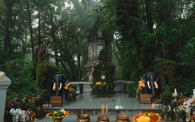 Chiang Mai: Doi Inthanon National Park Sightseeing Only - Who Will Love This Tour?