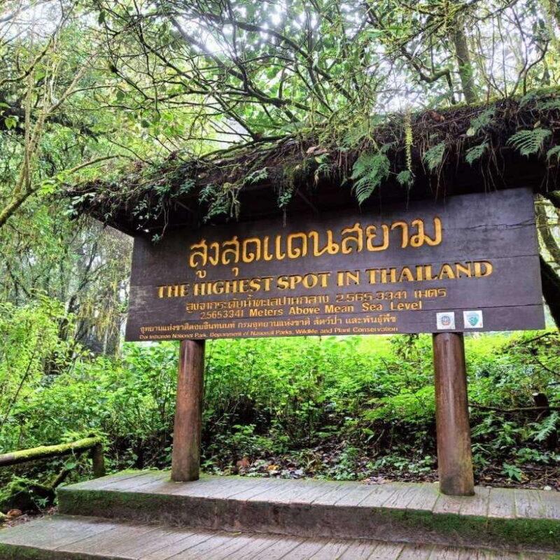 Chiang Mai: Doi Inthanon National Park & Waterfall Day Tour - Lunch and Optional Extras