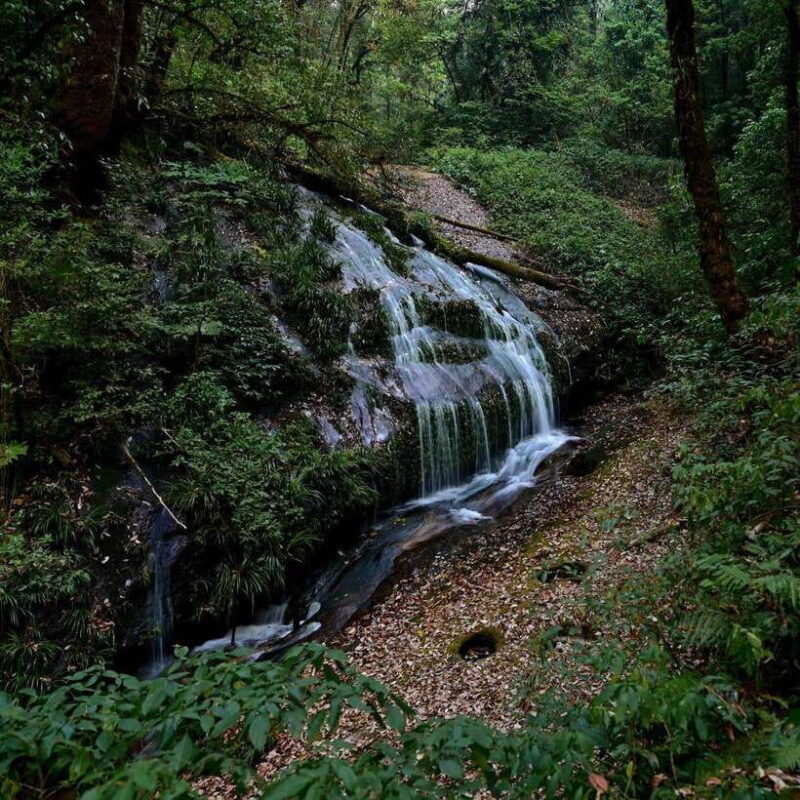 Chiang Mai: Doi Inthanon National Park, Waterfall & Lunch - FAQ