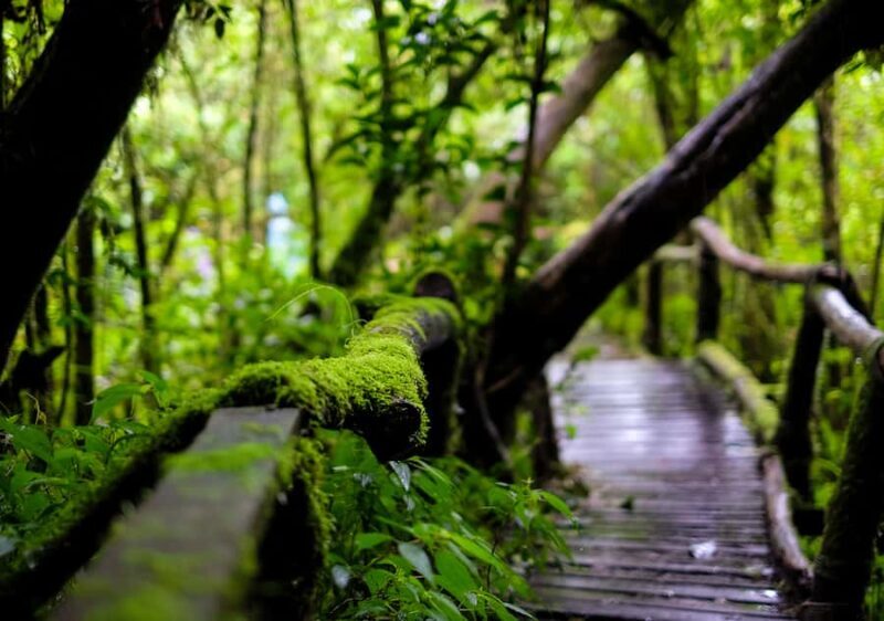 Chiang Mai: Doi Inthanon National Park with Ticket & Lunch - Authentic Experiences: What Travelers Are Saying