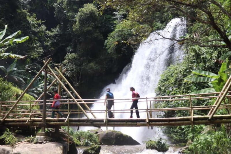Chiang Mai: Doi Inthanon National Park+Trek Pha Dok Siew - Who Will Love This Tour?