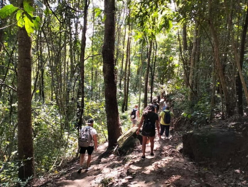 Chiang Mai: Doi Inthanon National Park+Trek Pha Dok Siew - The Sum Up
